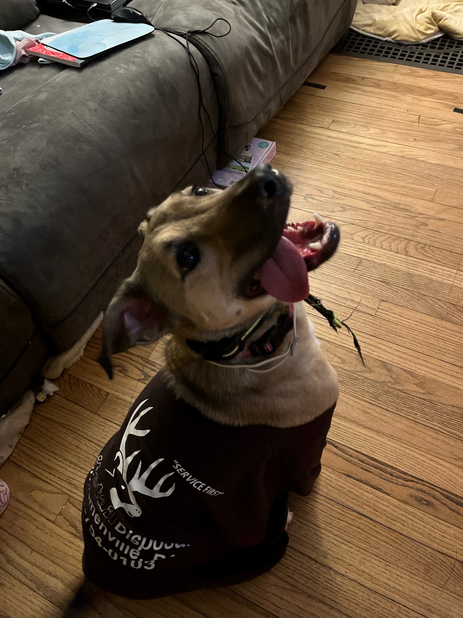 December Contest Winners - Casella